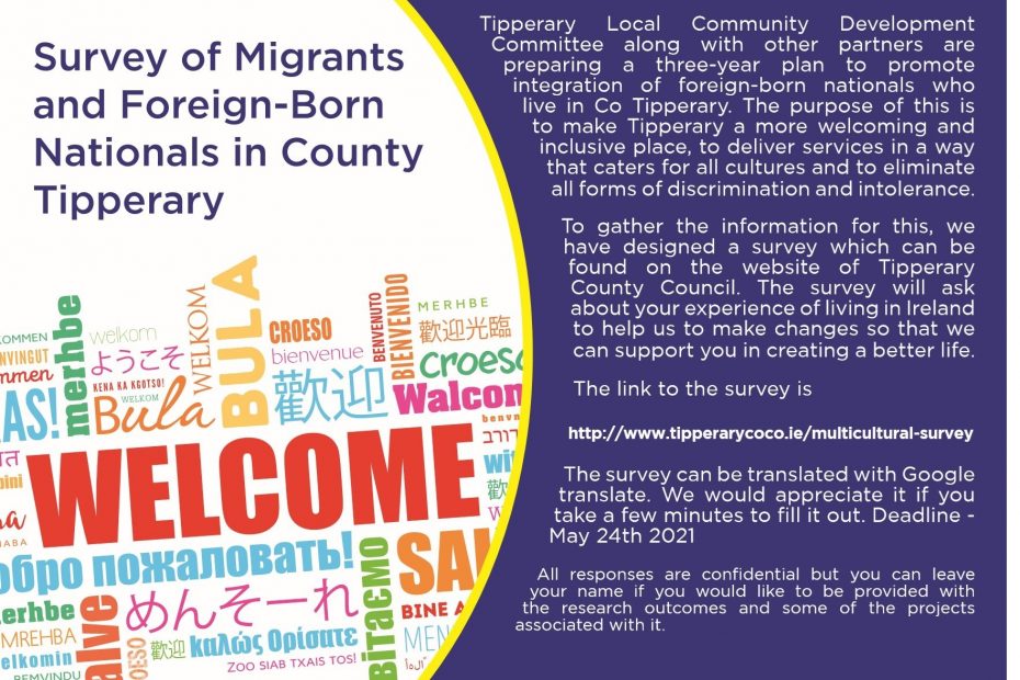 Migrant Integration Strategy Development – Twilight Community Group